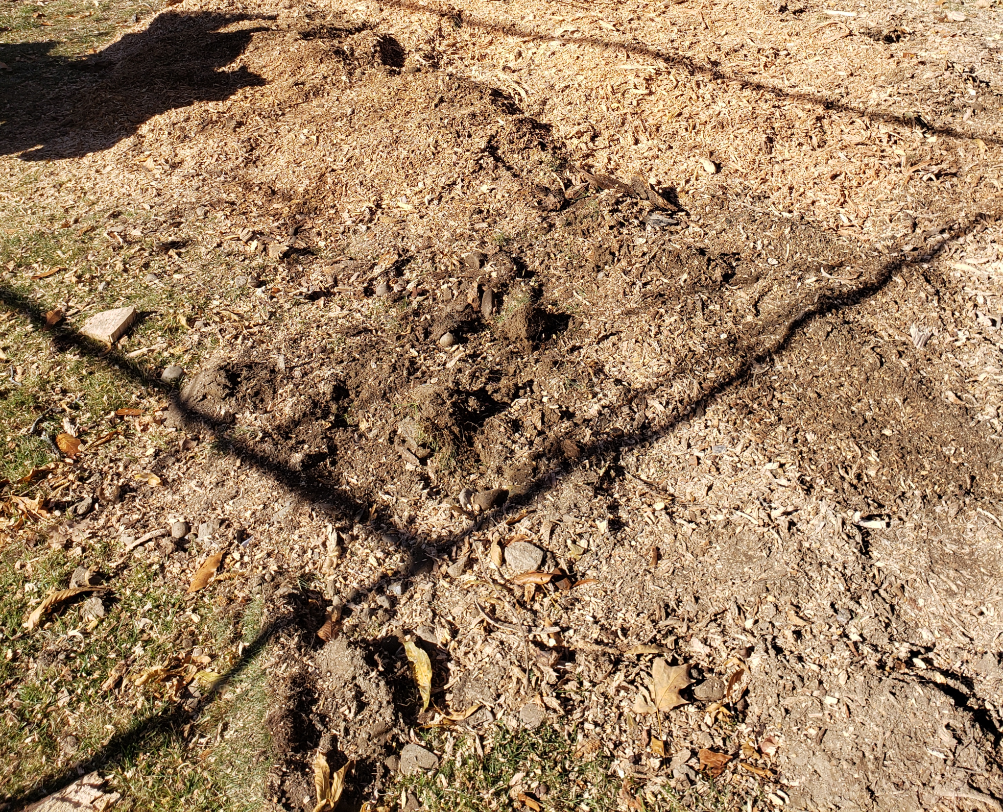 Stump grinding and lawn restoration – Just Stump It – Stump Grinding