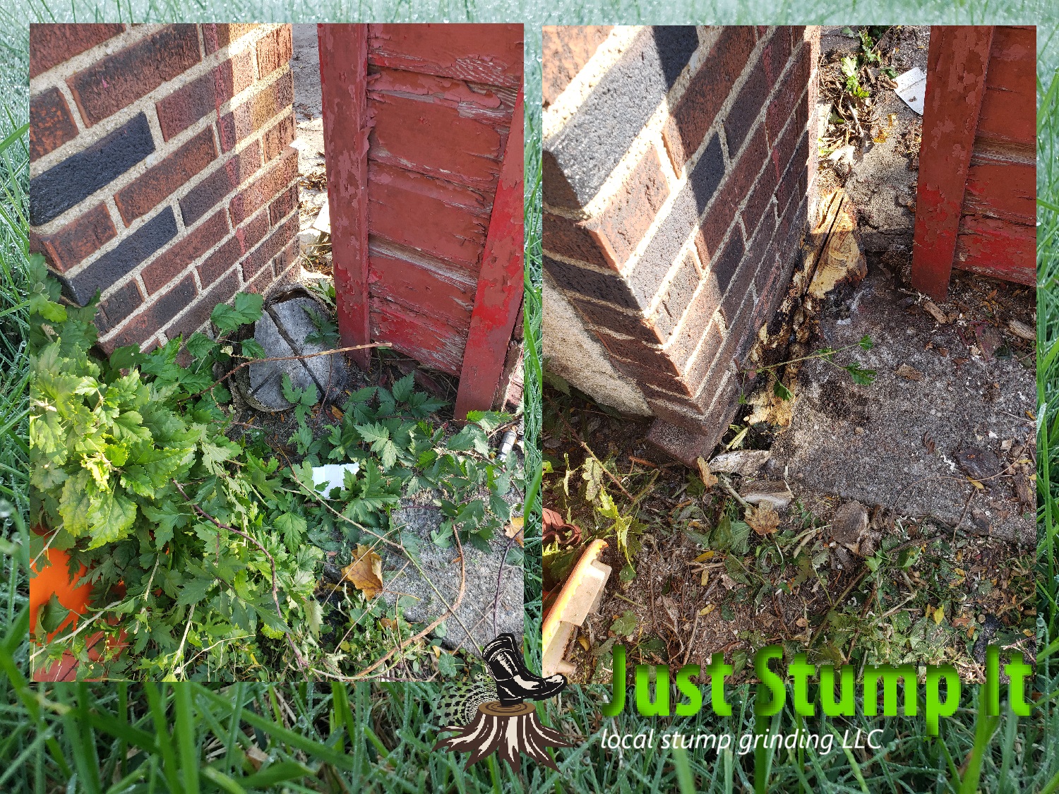 Stump removing near a fence or foundation. – Just Stump It – Stump Grinding