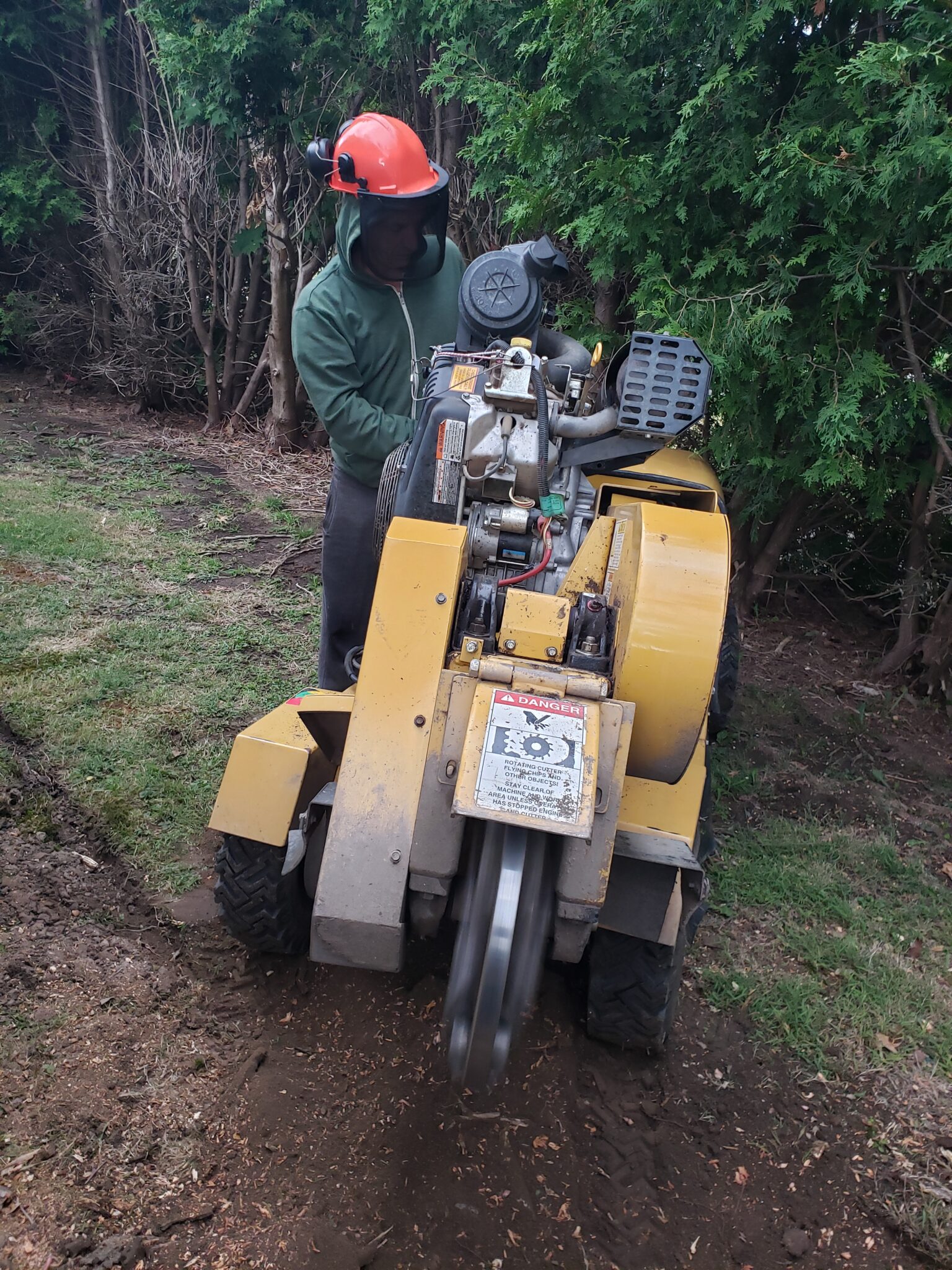 About Us – Just Stump It – Stump Grinding